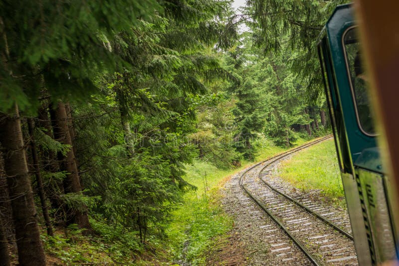 Railroad through forest stock image. Image of oravska - 107056567