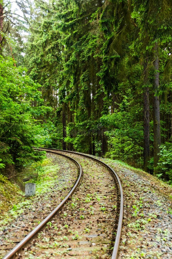 Railroad in forest stock photo. Image of white, nature - 93658356