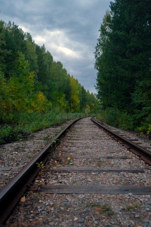 Railroad Going Straight through Green Forest. Evening Stock Image ...