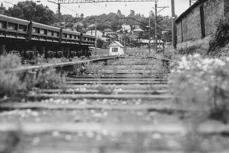 A Railroad Overgrown with Grass Stock Photo - Image of perspective ...