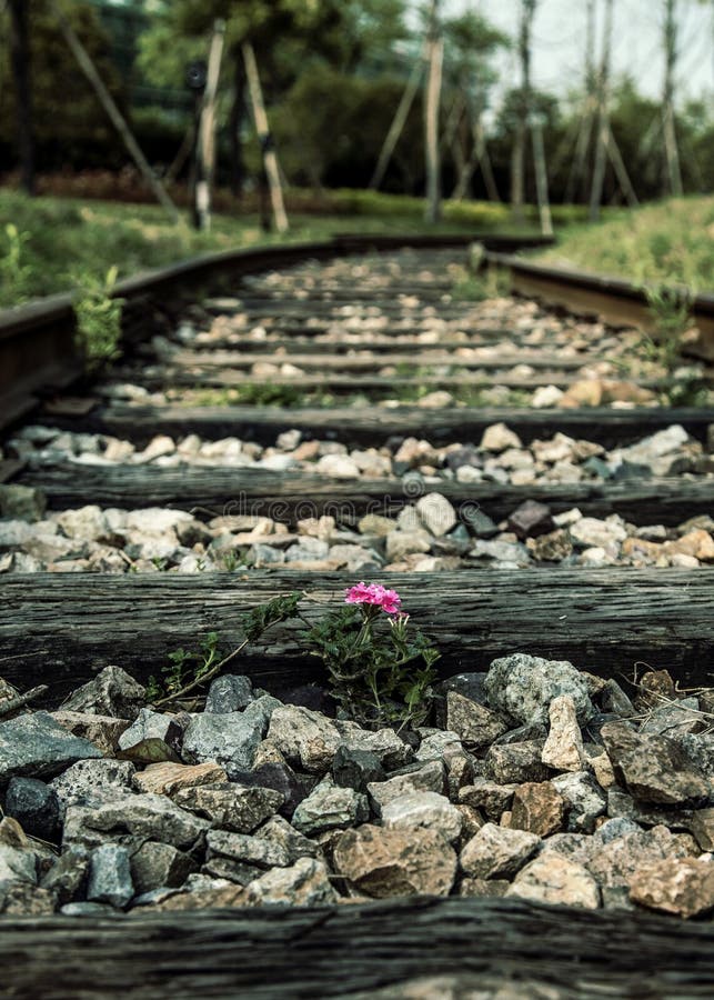 Railroad Rails stock image. Image of subway, economic - 59260439