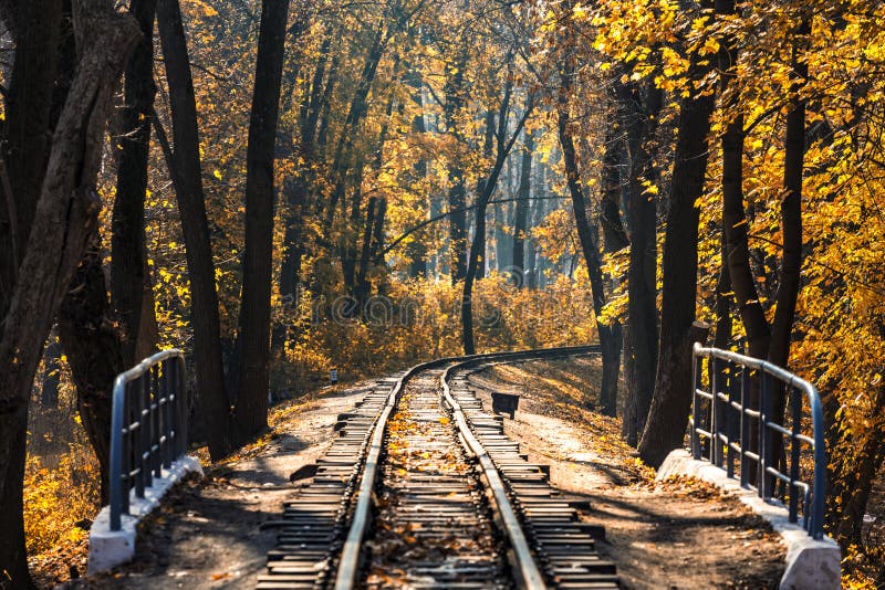 Railroad Single Track through the Woods in Autumn. Fall Landscape. Red ...