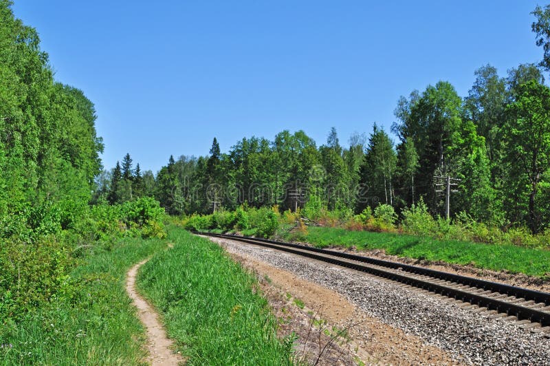 Forest railroad stock image. Image of nature, landscape - 34035987