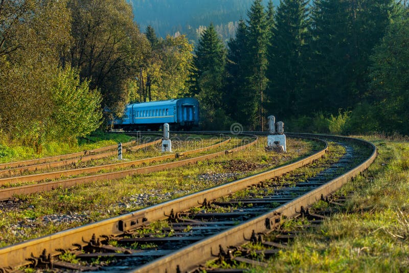 Railroad Track through the Forest in Autumn on Sunny Day Stock Photo ...