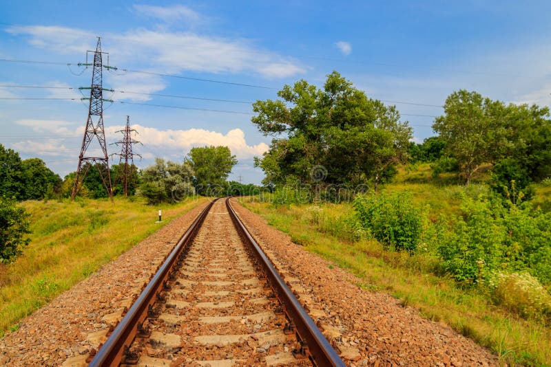 Railroad Track through Green Pine Forest Stock Image - Image of foliage ...