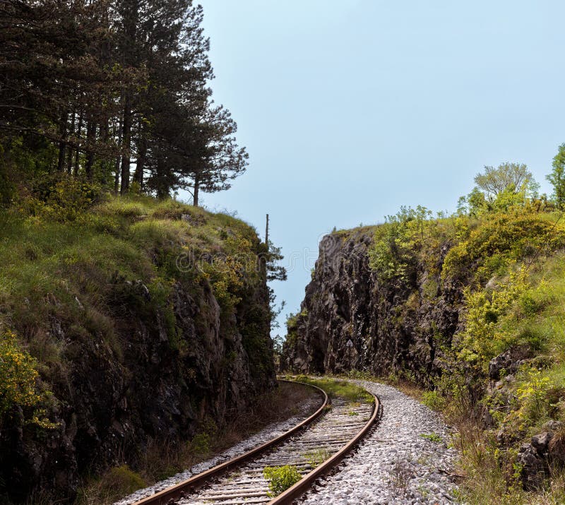 Railroad Track between Green Trees and Meadows Stock Image - Image of ...