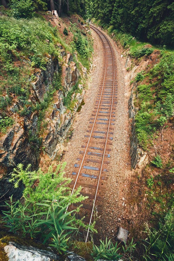 Railroad Track in the Middle of the Forest Stock Photo - Image of ...