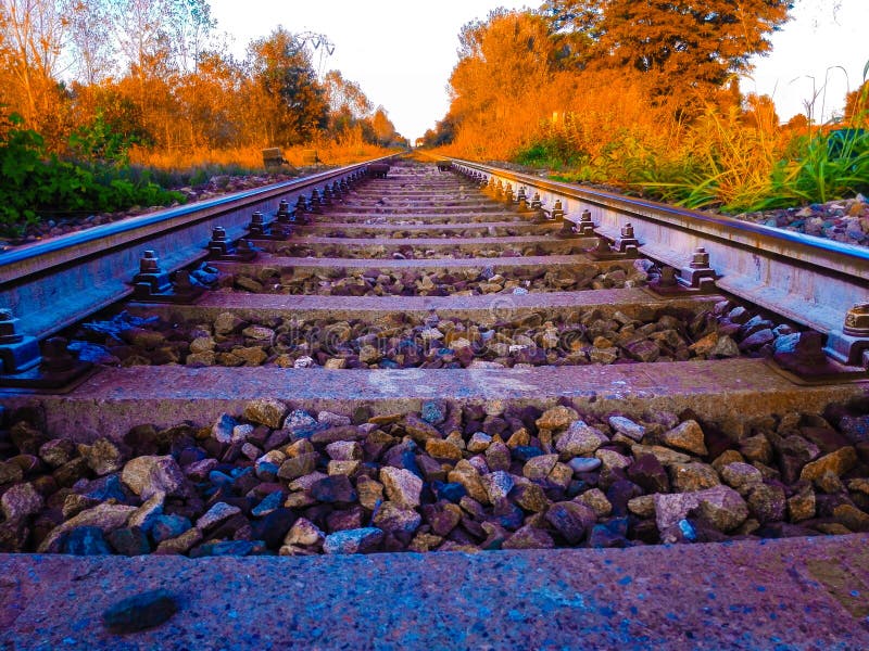 Railroad Track with Automatic Level Crossing System. Stock Photo ...