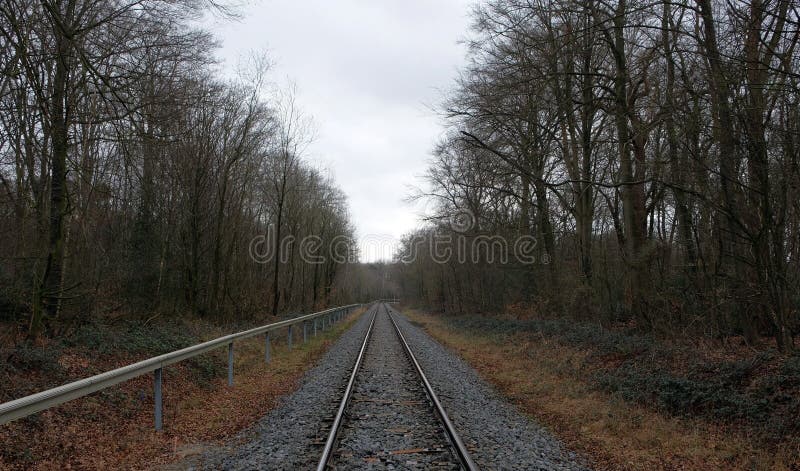 Railroad Track in the Woods in Autumn Stock Photo - Image of retro ...