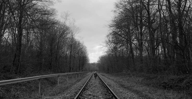 Railroad Track in the Woods in Autumn Stock Photo - Image of summer ...