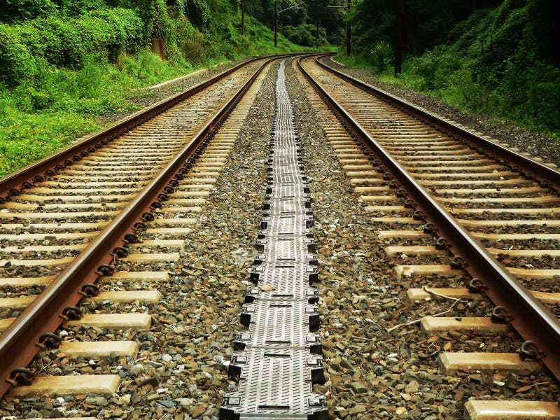 Railroad tracks stock photo. Image of angle, converge, rails - 197712