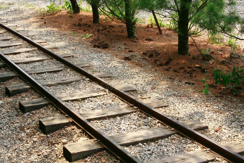 Railroad Tracks stock photo. Image of tree, train, tracks - 4259814