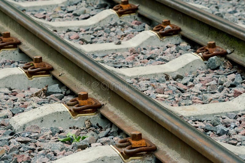 Railroad tracks stock photo. Image of rails, rest, metal - 974260