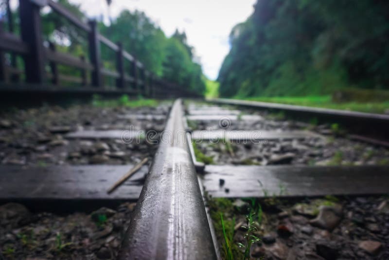 Railroad Tracks in Alishan Natural Park Stock Photo - Image of taiwan ...