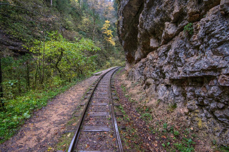 Railroad Tracks Cut through Autumn Woods Stock Photo - Image of ...