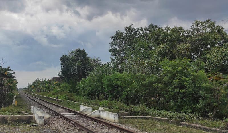 Railroad Tracks on the Edge of the Forest Stock Image - Image of tree ...
