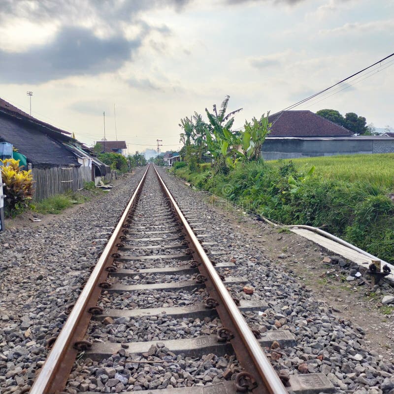 Railroad Tracks on the Edge of Rice Fields Stock Image - Image of edge ...