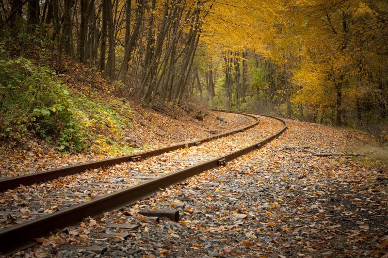 Railroad Tracks in the Fall Stock Image - Image of nature, train: 31175147