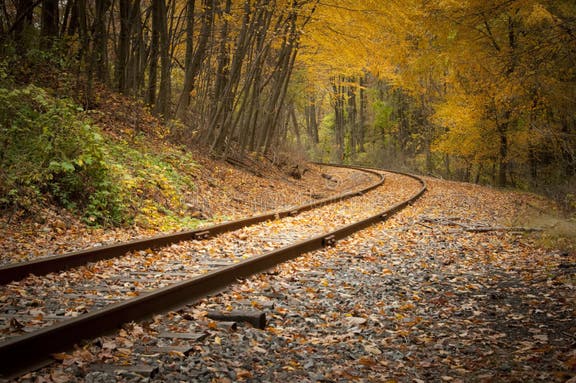 Railroad Tracks in the Fall Stock Image - Image of nature, train: 31175147