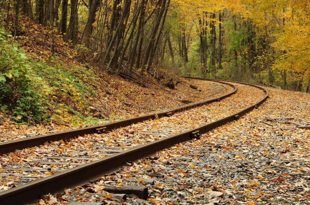 Railroad Tracks in the Fall Stock Photo - Image of road, tracks: 31175140