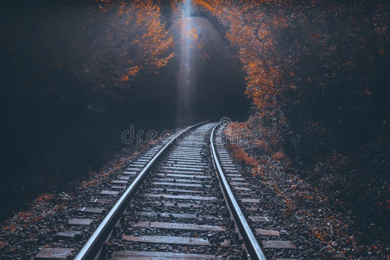 Railroad Tracks in the Fall Stock Photo - Image of bright, landscape ...
