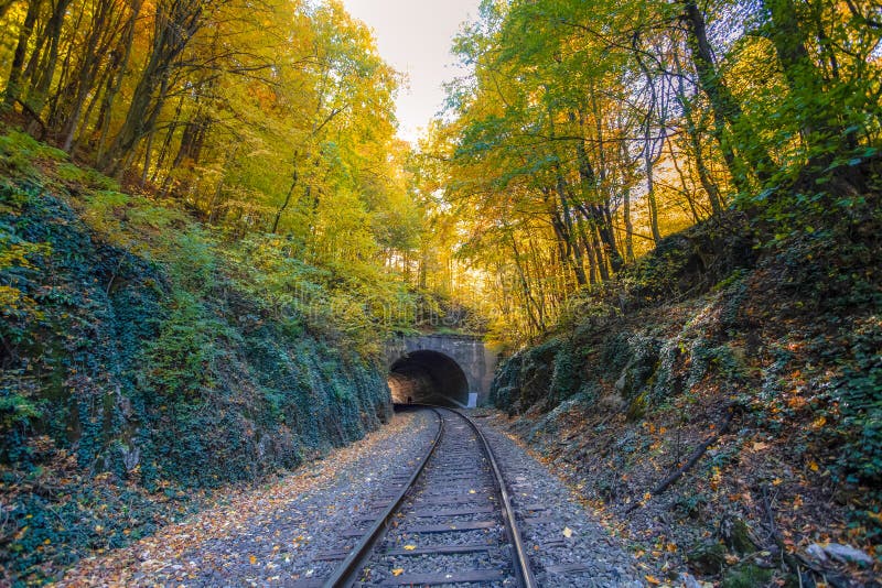Railroad Tracks in the Fall Stock Photo - Image of rail, railway: 233434478