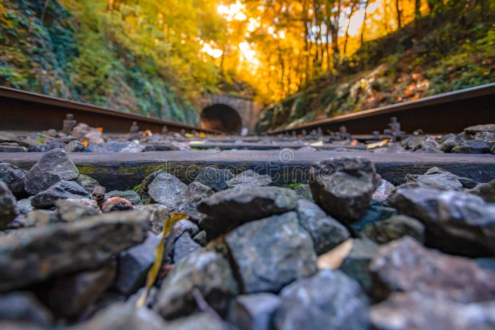 Railroad Tracks in the Fall Stock Image - Image of iron, mist: 233434493