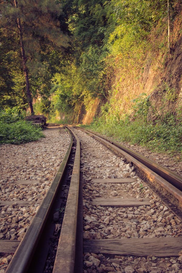 Railroad Tracks through a Forest and Countryside, Thailand. Stock Photo ...