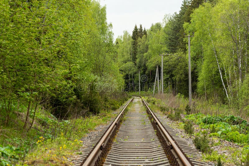 Railroad Tracks through the Forest. Stock Photo - Image of outdoor ...