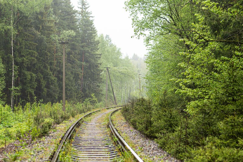 Railroad Tracks through the Forest in Spring. Natural Bakground Stock ...
