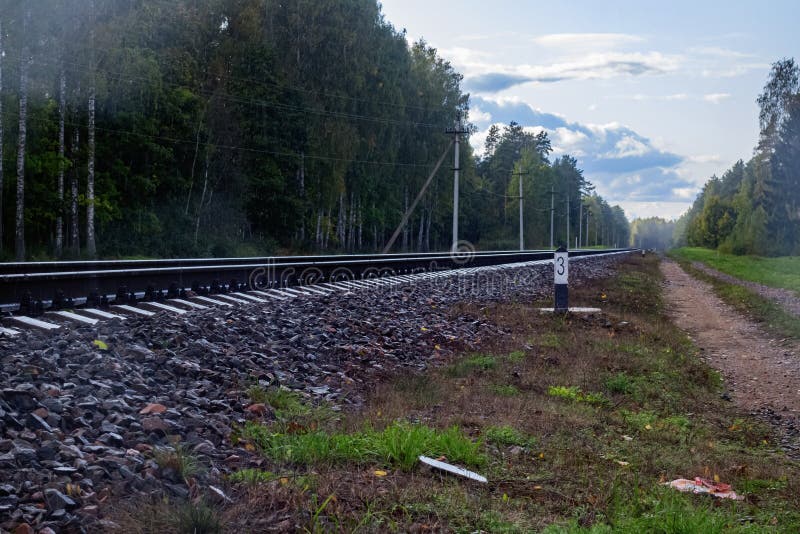 Railroad Tracks Go into the Distance in the Forest Stock Photo - Image ...