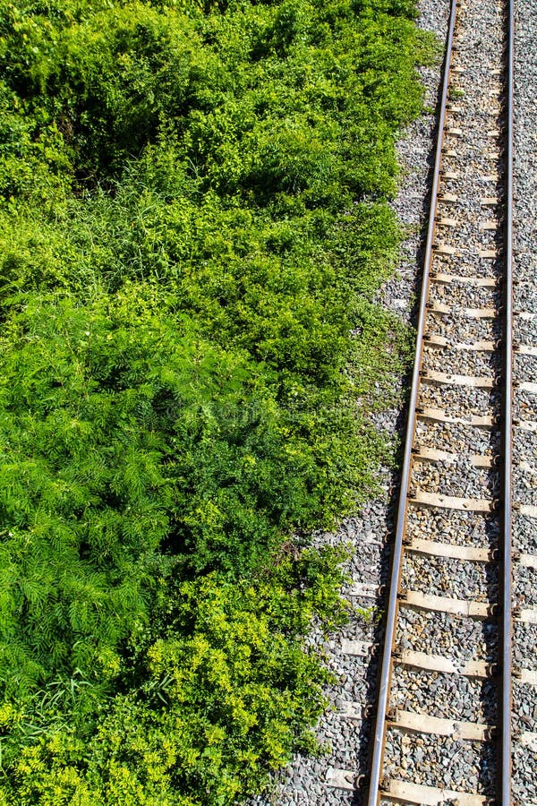 Railroad tracks grass stock photo. Image of outdoors - 43761146