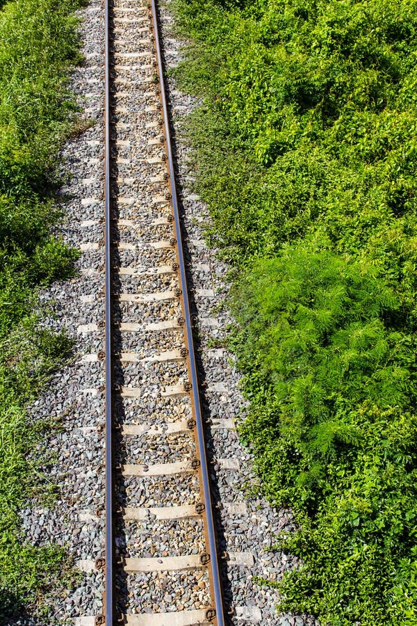 Railroad tracks grass stock photo. Image of field, iron - 43761206