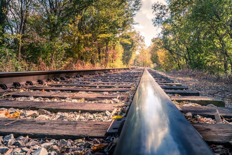 Railroad tracks stock photo. Image of rural, railway - 254792262