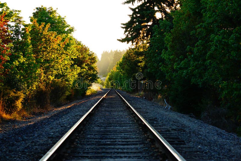 Railroad tracks stock image. Image of white, black, railroad - 57554965
