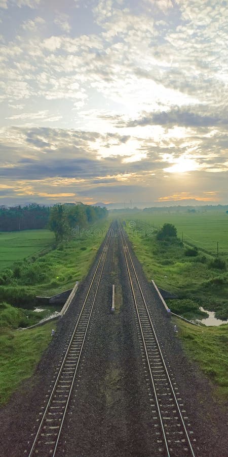Railroad Tracks with Natural Scenery of Rice Fields Stock Image - Image ...