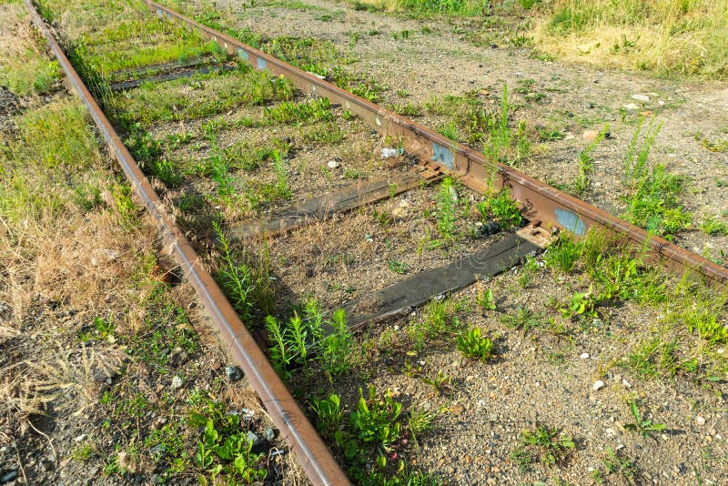 Railroad Tracks Overgrown with Grass Stock Photo - Image of iron ...