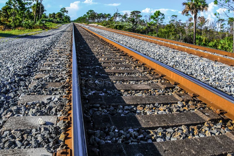 Railroad Tracks through the Park Stock Image - Image of palmetto ...