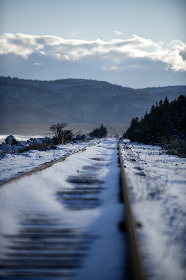 Railroad tracks stock photo. Image of deserted, travelling - 206501872