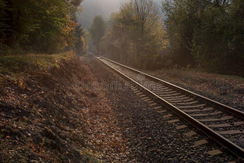 Railroad Tracks Running in the Middle of a Forest at Sunset Stock Image ...