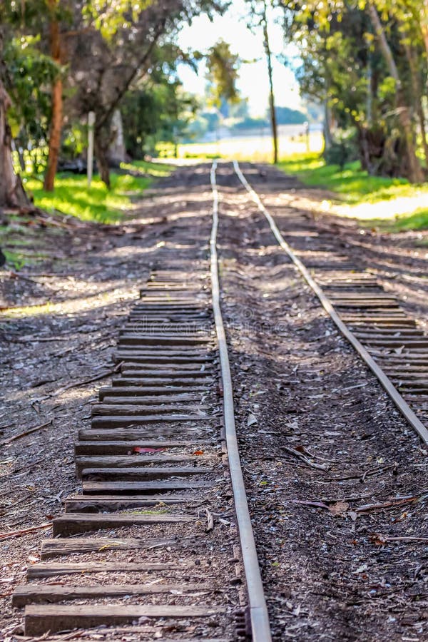 Railroad Tracks Running through the Park. Stock Image - Image of ...