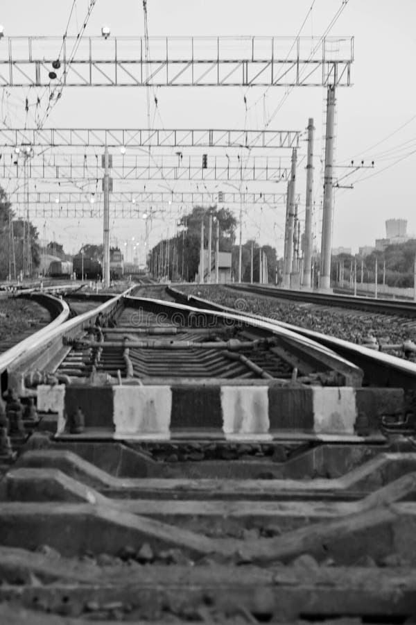 Railroad Tracks in the Summer Evening Black and White Stock Image ...