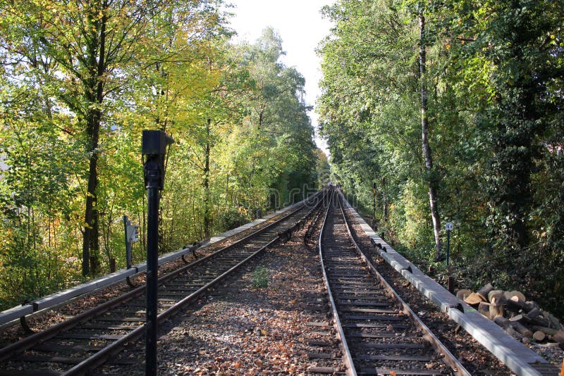 Railroad Tracks Surrounding by Tree Line during Train Station, Empty ...