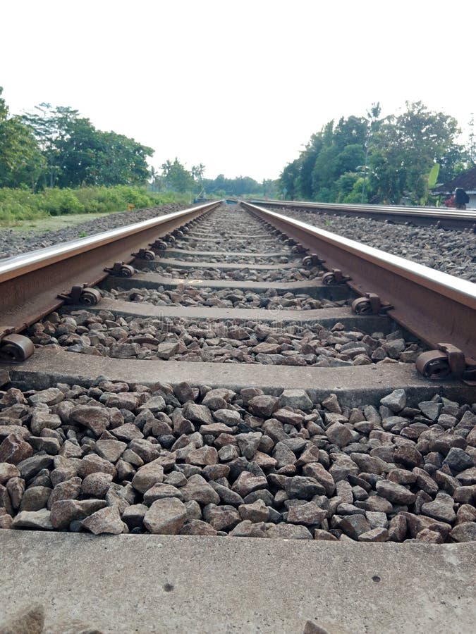 The Railroad Tracks Under the Clear Sky and among the Green Trees Stock ...