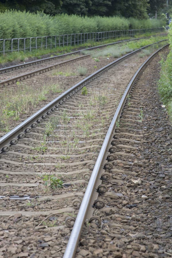 Railroad Tracks stock image. Image of railway, train - 36216607