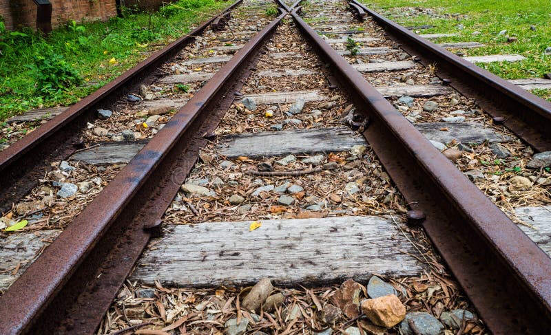 Railroad Tracks stock photo. Image of horizontal, nature - 60520024