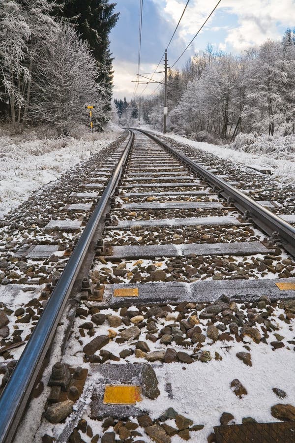Snowy Tracks stock photo. Image of tree, track, tracks - 1048432