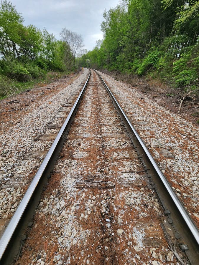Railroad Tracks in the Woods Stock Photo - Image of tracks, railroad ...