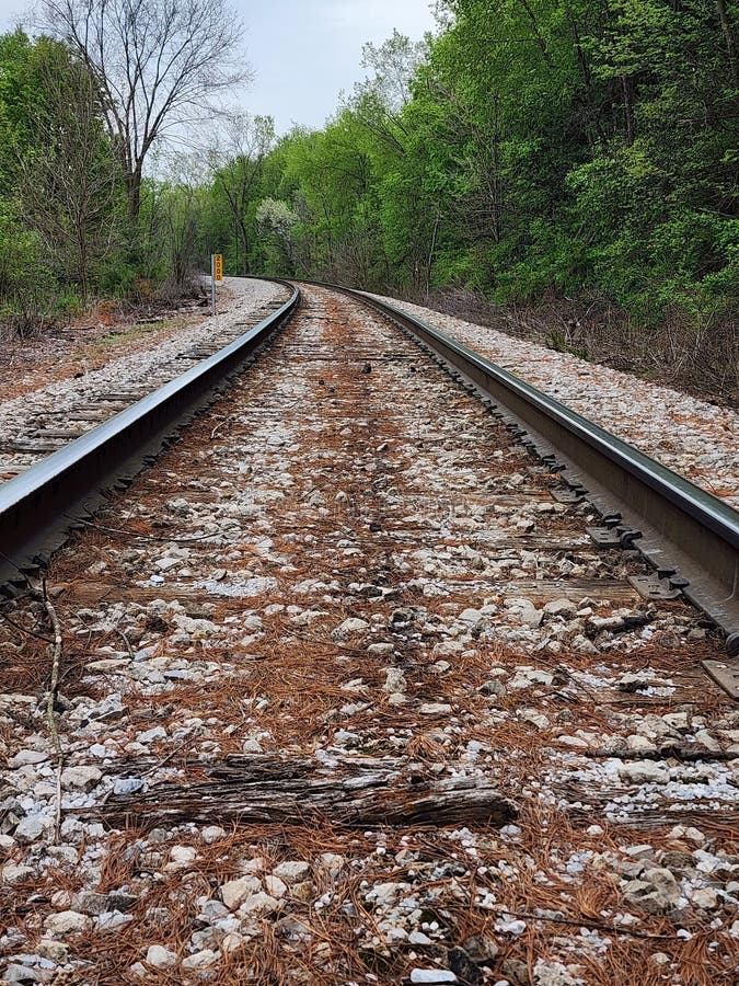 Railroad Tracks in the Woods Stock Image - Image of woods, tracks ...