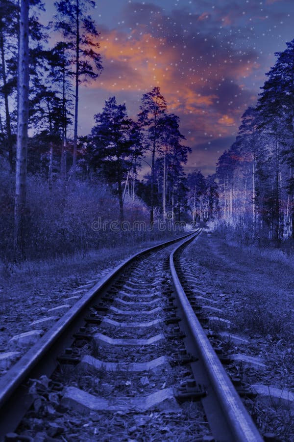 Railroad Tracks Night Woods Stock Photos - Free & Royalty-Free Stock ...